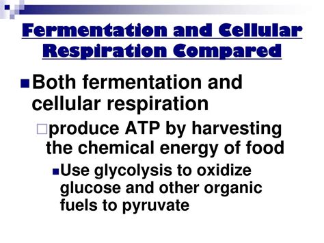 PPT Cellular Respiration Fermentation Ch PowerPoint Presentation ID