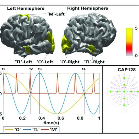 pdf spatio temporal eeg source imaging with the hierarchical bayesian elastic net and elitist