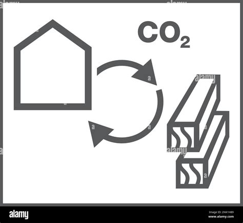 Timber Construction In Architecture Use Of Renewable Raw Materials
