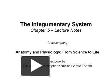 The Integumentary System Chapter Lecture Notes Presentation Free To View