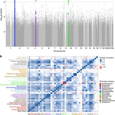 gwas and genetic correlation plots a manhattan plot of the gwas