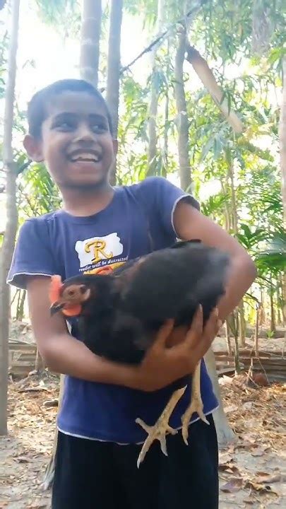 মুরগী ছেলেটির বোন লাগে Youtube