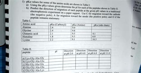 Pka Values For Some Of The Amino Using The Pka Values Acids Are Shown