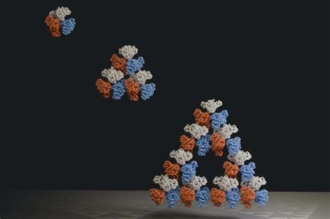 Fractal Pattern Identified At Molecular Scale In Nature For First Time
