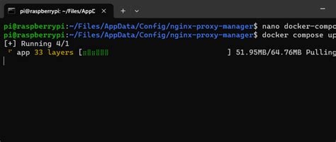 Setting Up Custom Hostname Forwarding On Your Home Network With Nginx Proxy Manager And Pi Hole