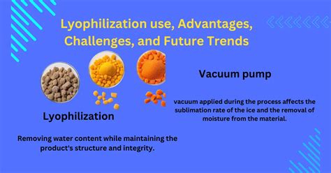 Lyophilization Use Advantages Challenges And Future Trends