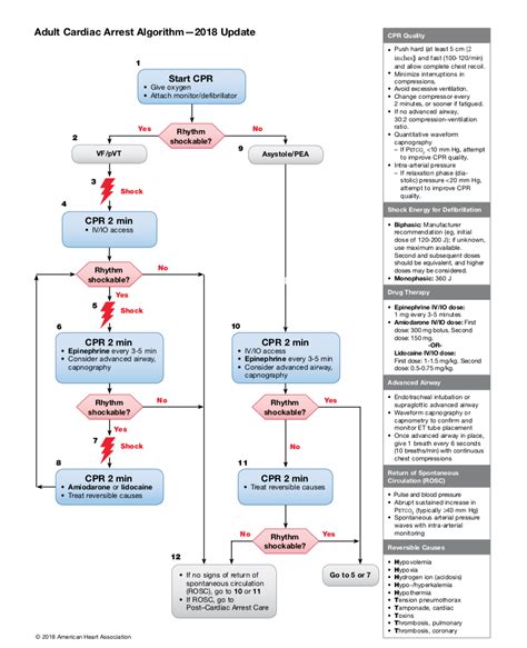 Acls Algorithmus Acls Algorithm Overview In 2020 With Images Acls Damit Können Sie