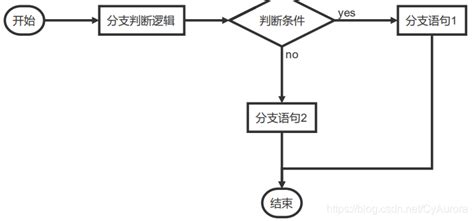Java程序的执行结构（顺序、分支、循环）java代码执行顺序的规则 Csdn博客