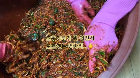 김장 김앤장 Youtube