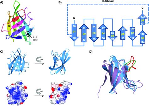 Structure Of Rnm Acpi And Comparison With The Mlicplic Canonical Fold Download Scientific
