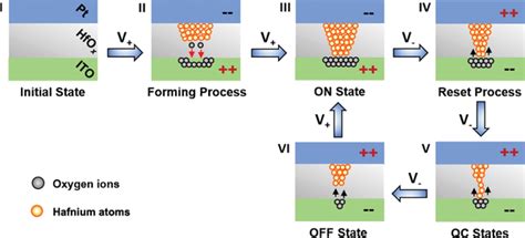 Schematic Illustration Of Controlled Apc Evolution Via Oxygen Ion Download Scientific Diagram