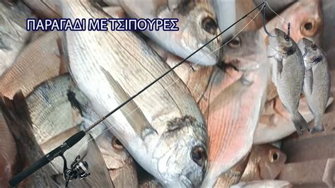 ΠΑΡΑΓΑΔΙ ΜΕ ΤΣΙΠΟΥΡΕΣ Youtube