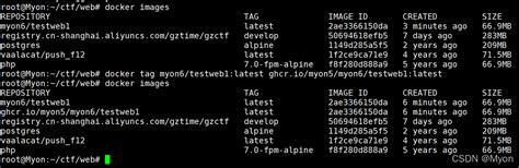 使用 Gzctf 结合 Github 仓库搭建独立容器与动态 Flag 的 Ctf 靶场基于 Docker 的 Web 出题与部署容器权限