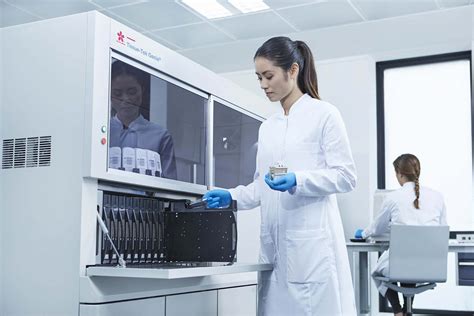 Advanced Staining For An Optimal Only Outcome Sakura