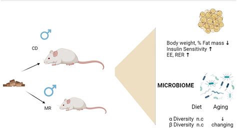 Aging Cell Vol 23 No 3