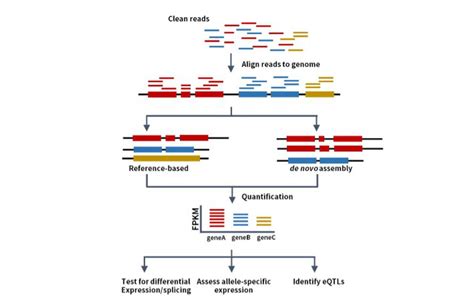 转录组差异表达分析 数据下载（针对geo数据库中的数据分析） 知乎