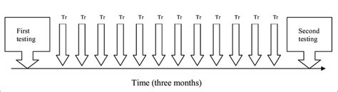 The Protocol Of The Research Download Scientific Diagram