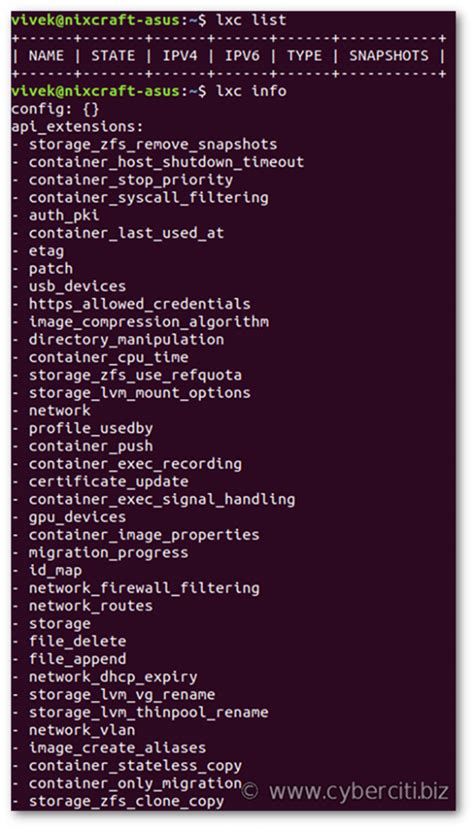 Install Lxd Pure Container Hypervisor On Ubuntu 1804 Lts Nixcraft