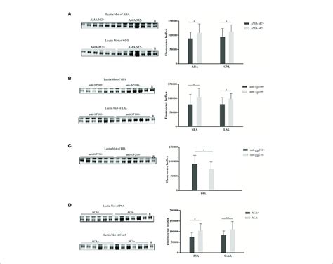 Lectin Blot Of Selected Lectins For Serum Igg Between Pbc Subgroups
