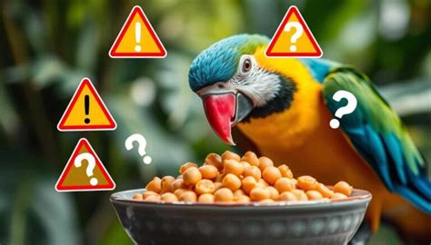 Do Birds Have Sex Understanding Bird Mating And Reproduction