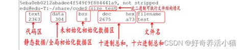 c基础07 内存结构 全局变量和局部变量 静态、声明、函数 内存四区模型 开辟堆空间和堆空间常见错误 内存处理函数 c语言怎么设置一个全局