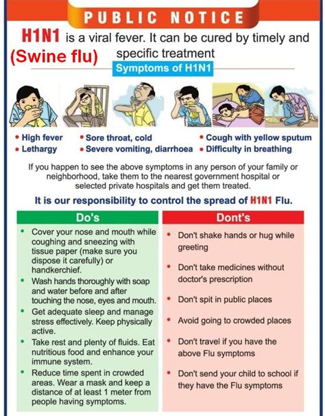 Raghus Column Dengue And Swine Flu Resurface In Our City