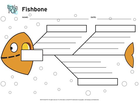 Cause And Effect Essay Graphic Organizer