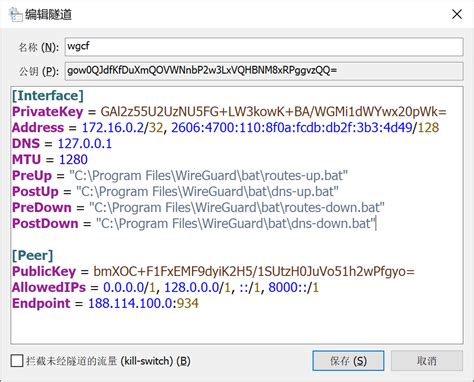 在 Windows 上给 WireGuard 节点配置分流规则 v cross