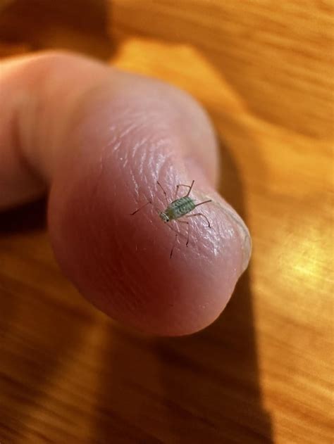 Would You Rp With A Person Who Uses Their Real Name Rbadrperstories