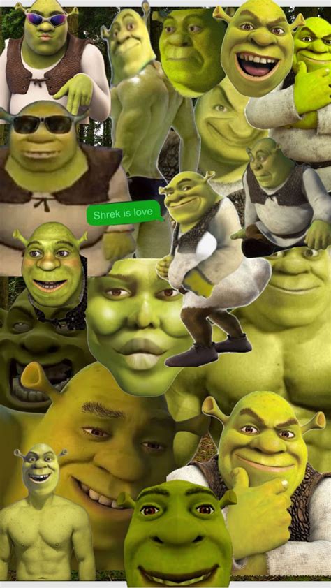 Shrek Shrekcore Goofy Funny Wallpaper In 2024 Shrek Funny Unicorn Wallpaper Cute Funny