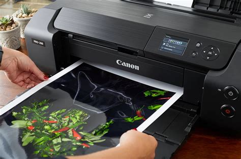How To Fix A Canon Printer That Won T Stay On DBLDKR
