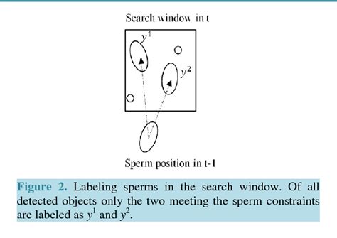 Figure 2 From Occlusion Robust Low Contrast Sperm Tracking Using