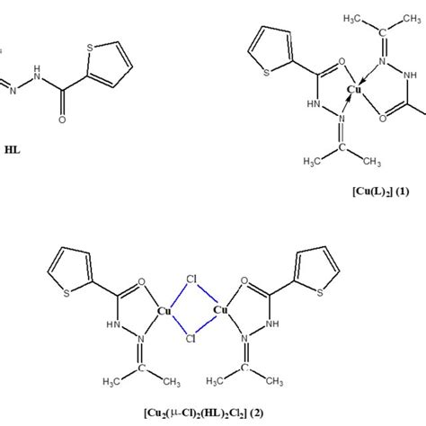 Scheme Synthesis Of The Schiff Base Ligand Download Scientific Diagram