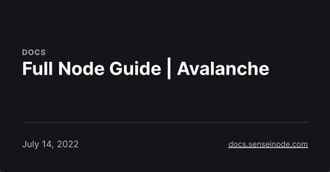 Full Node Guide Avalanche