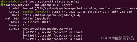 【26】应用开发——如何在ubuntu系统中安装并配置apache Serverapache安装ubuntu Csdn博客