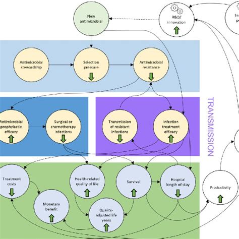 Causal Loop Diagram Demonstrating The Interactions Between Modelled