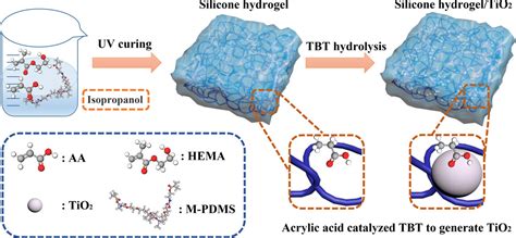 In‐site Synthesis Of Tio2 In Hema‐aa ‐co‐pdms Hydrogel Uv Resistance Optical Transparency