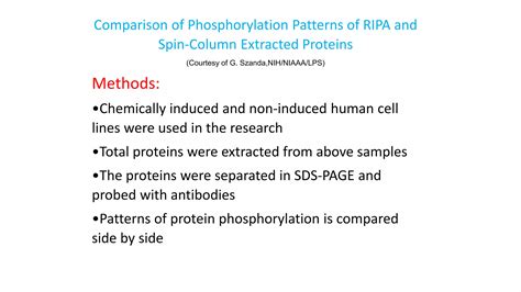 Potential Problems Of Protein Extraction Using Ripa Buffer Invent