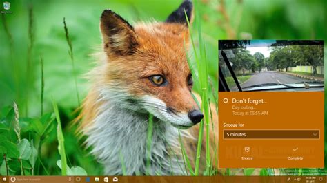 Windows 10 Preview Build 16237 Is Now Available Heres Whats New