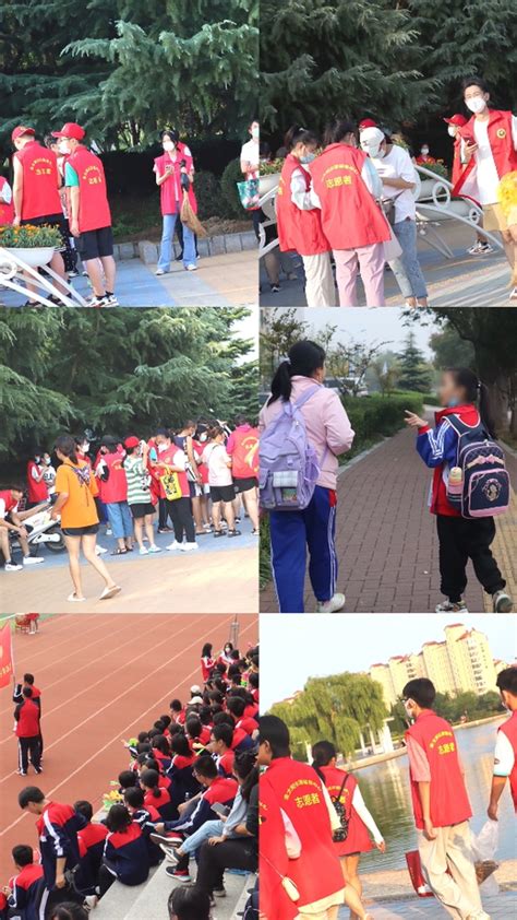 竖屏6宫格图片简洁照片展示照片墙多汇聚ae模板下载编号10338095光厂vj师网