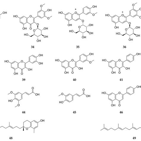 Chemical Structures Of The Identified Compounds By LC ESI TOF MS MS Download Scientific Diagram