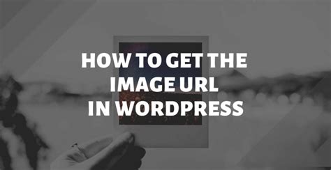Make A Custom Scrollbar In Wordpress Market Wp Themes