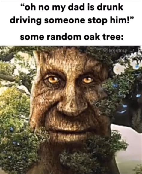 Drug Tree Memes