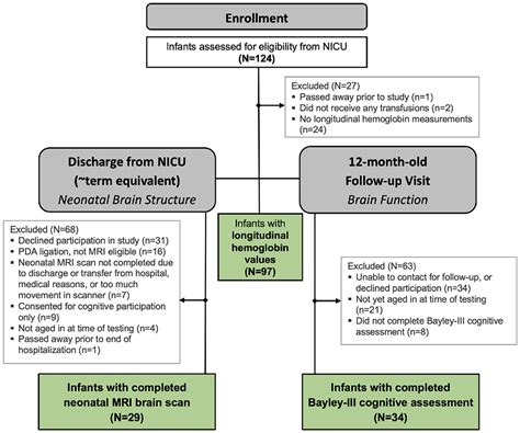 Sex Differences In The Association Of Pre Transfusion Hemoglobin Levels With Brain Structure And