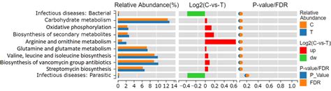 Functional Prediction Of Rhizosphere Microbial Communities Associated