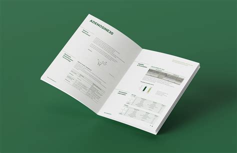 Clean Beauty 시각디자인 포트폴리오 디엠엑스