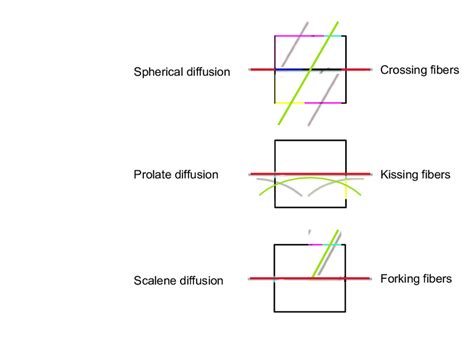 Simplified Diagrams For Typical Gaussian Diffusion Models First Download Scientific Diagram