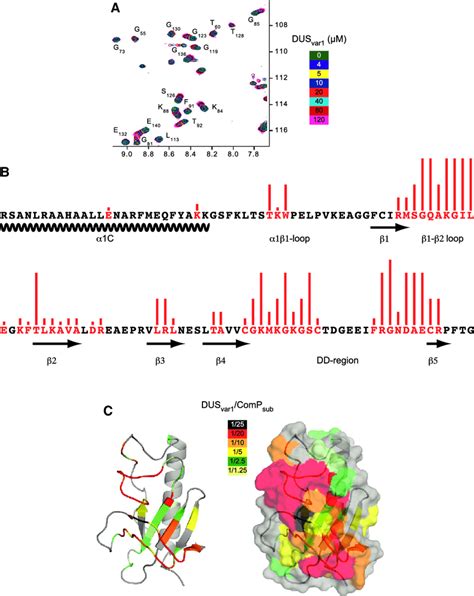 Detailed Nmr Analysis Of Comp Sub Binding To Dna A Overlay Of Download Scientific Diagram