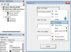 Vba Userform In Excel Formatting Examples How To Create