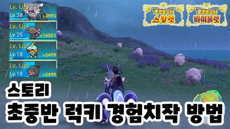 초중반 럭키 경험치작 방법 포켓몬스터 스칼렛 바이올렛 Youtube